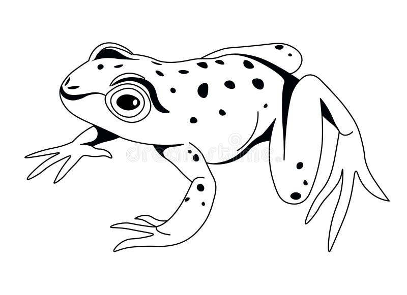 Spotted Frog in Natural Sitting Pose Stock Illustration - Illustration ...