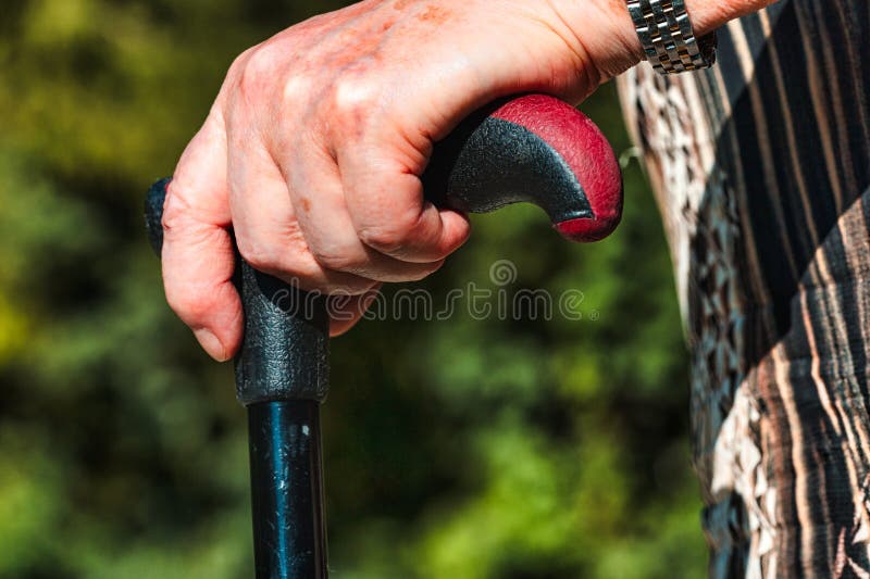 Spotted Hand Rests on Cane, Symbolizing Purpose Stock Photo - Image of ...