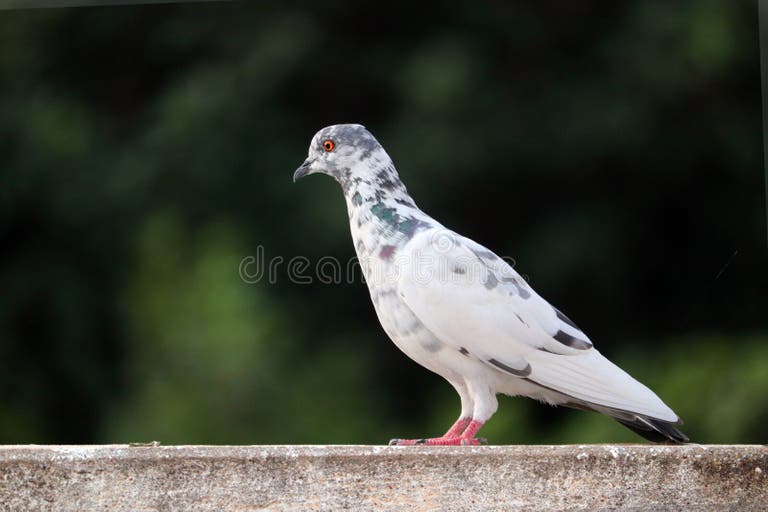 Pa Regions Cities Stock Photos - Free & Royalty-Free Stock Photos from ...