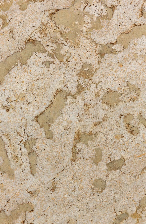 Spotted Texture Stock Images - Download 46,582 Royalty Free Photos