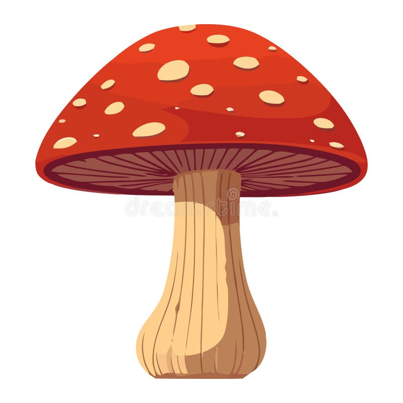 Yellow Toadstool Stock Illustrations – 904 Yellow Toadstool Stock ...