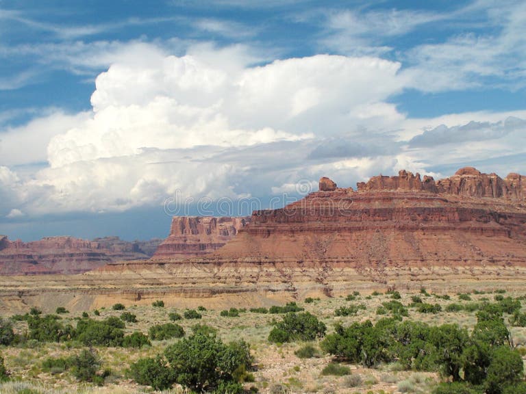 Spotted wolf stock image. Image of nature, solitude, west - 292577