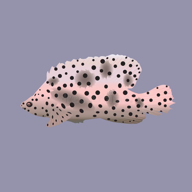 Spotty fish stock illustration. Illustration of spotty - 1065055