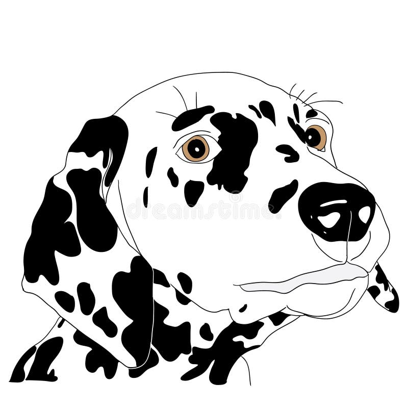 Spotty Dog with Trailing Ears. Stock Illustration - Illustration of ...