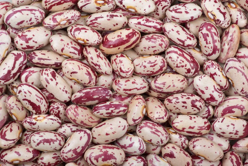 Spotty White-red Haricot Beans Stock Photo - Image of natural, kidney ...