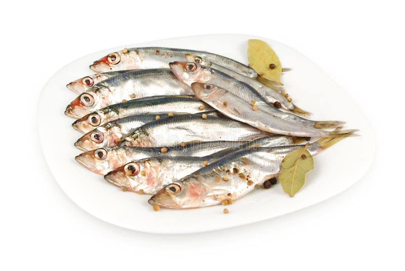 Sprat stock photo. Image of sprats, fish, plate, frozen - 23176830