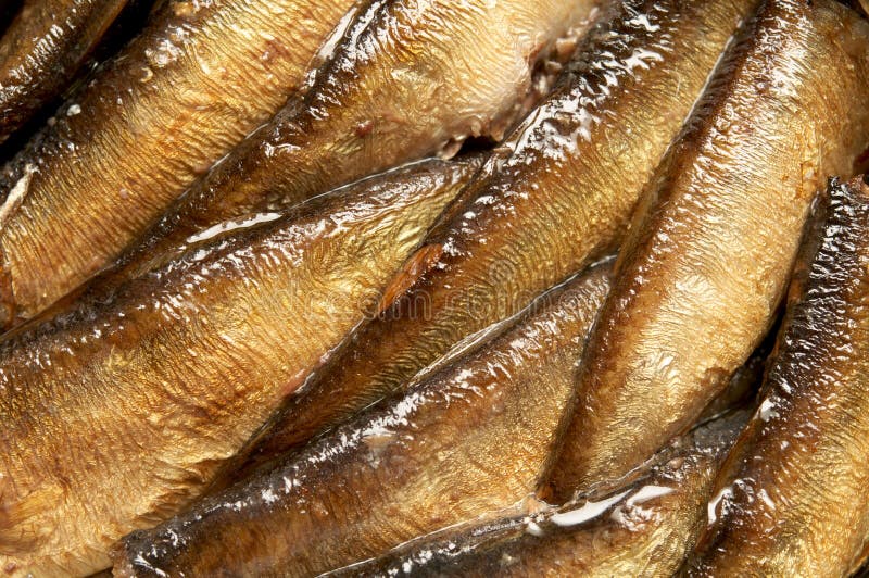 Sprat Group stock image. Image of five, protein, sprat - 7968299