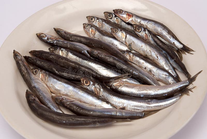 Sprat stock image. Image of salty, snack, tasty, dish - 7444519
