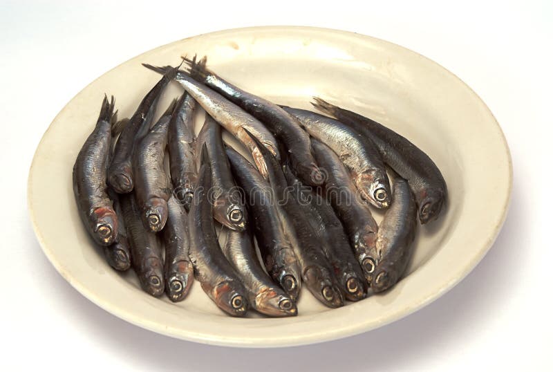 Sprat stock image. Image of appetizer, cooking, snack - 7694213