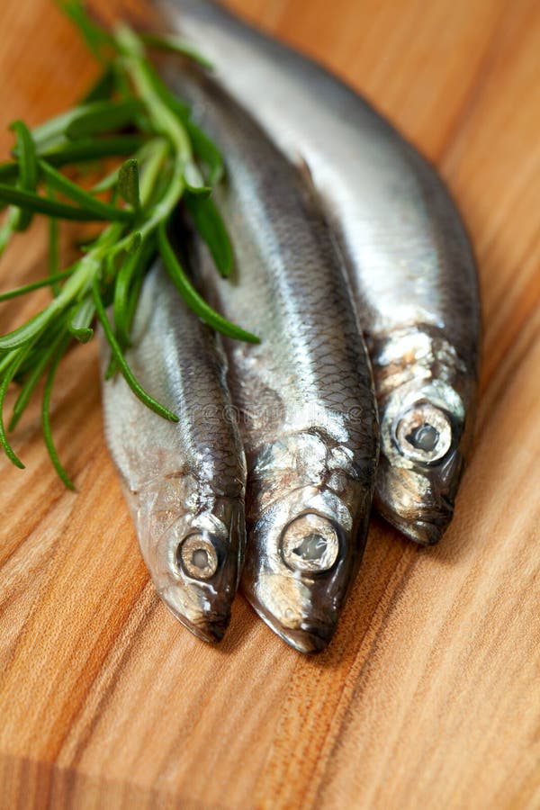 Sprat fish stock image. Image of table, coldblooded, tail - 36445957