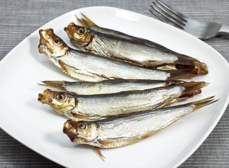 SPRAT stock image. Image of aquatic, indoor, length - 172733607