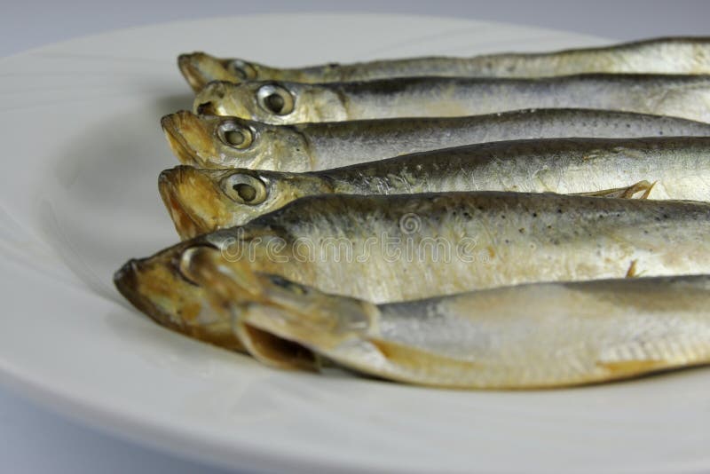 Sprat in plate stock image. Image of plate, marine, delicious - 47322683