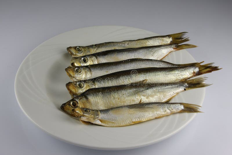Sprat in plate stock photo. Image of plate, nutrition - 47322948