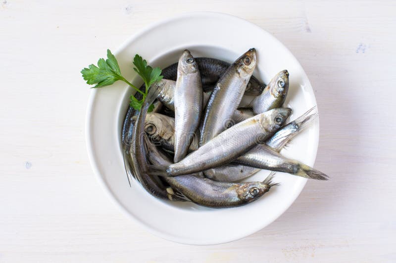 Sprat stock image. Image of brisling, seafood, sprat - 50979381