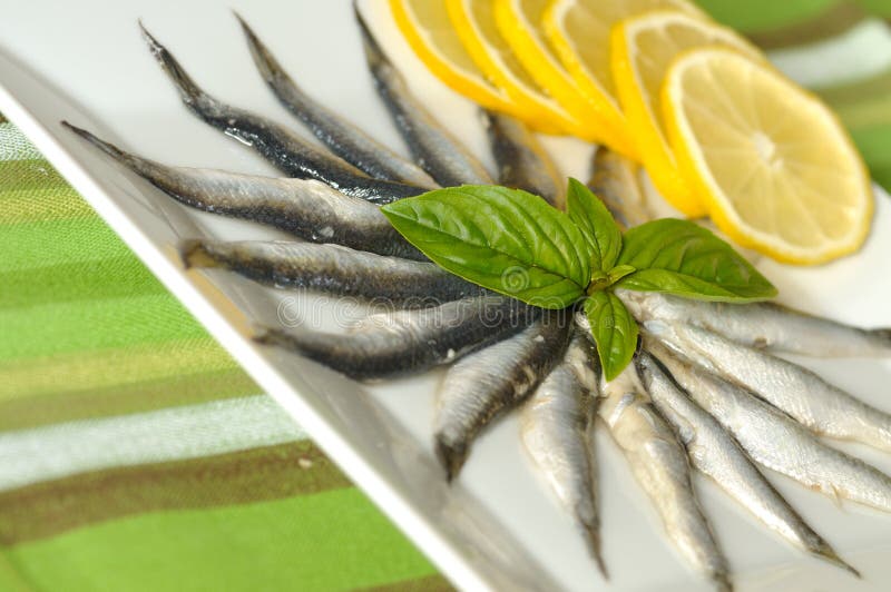 Sprat salad stock image. Image of salad, sprat, food - 11016137