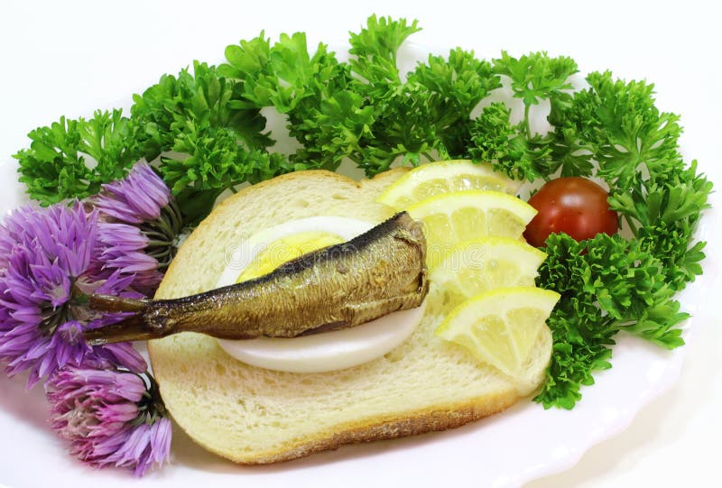 Sprat sandwich stock photo. Image of background, plate - 25528642