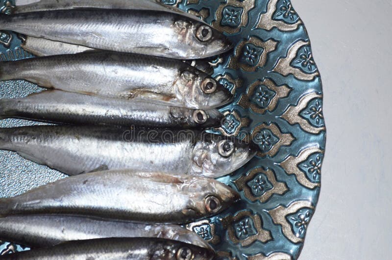Sprats fish on a plate stock image. Image of diet, dish - 107553839