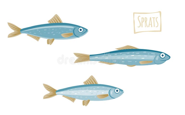 Sprat Vector Stock Illustrations – 987 Sprat Vector Stock Illustrations ...