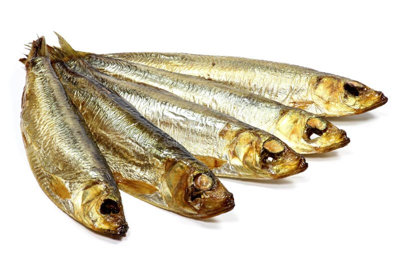 Spratti affumicati fotografia stock. Immagine di gruppo - 66110590