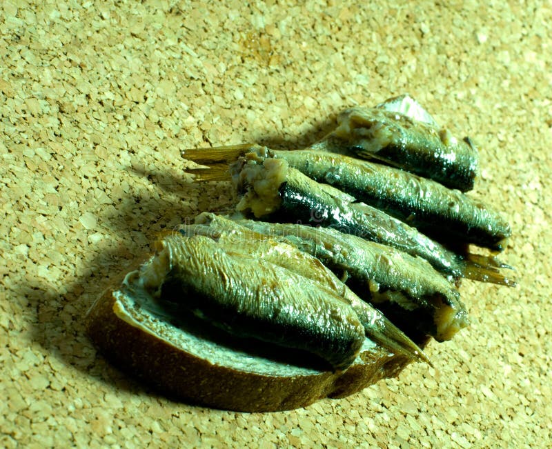 Spratti baltici immagine stock. Immagine di baltico, spratto - 2535147