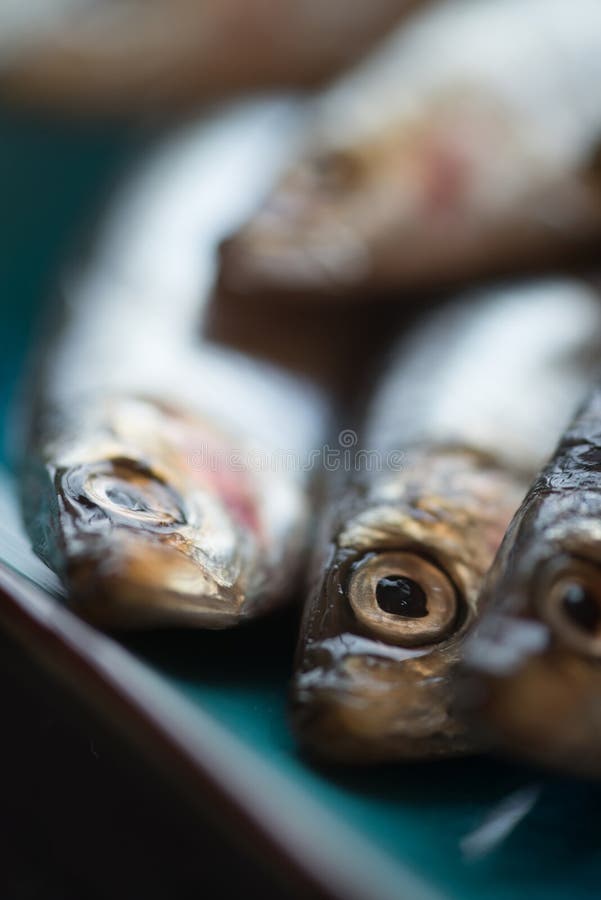 Spratti Crudi Saporiti Freschi Sul Piatto Di Servizio Immagine Stock ...