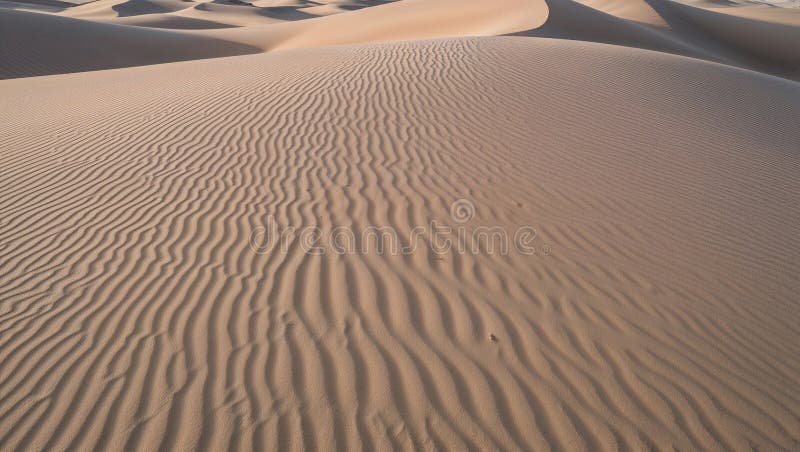Sprawling Sand Dunes with Graceful Patterns and Soft Ripples Stock ...