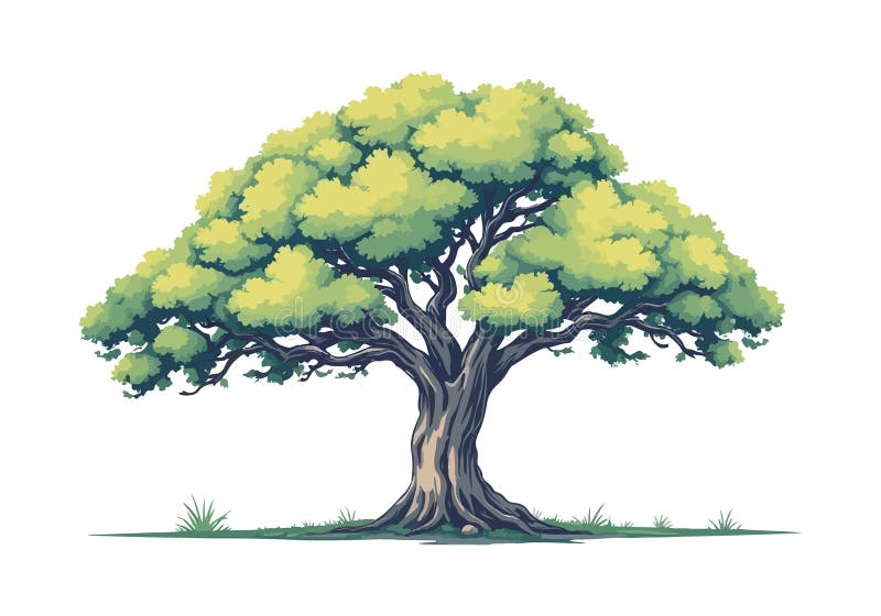 Sprawling Tree with a Lush Crown. Stock Illustration - Illustration of ...
