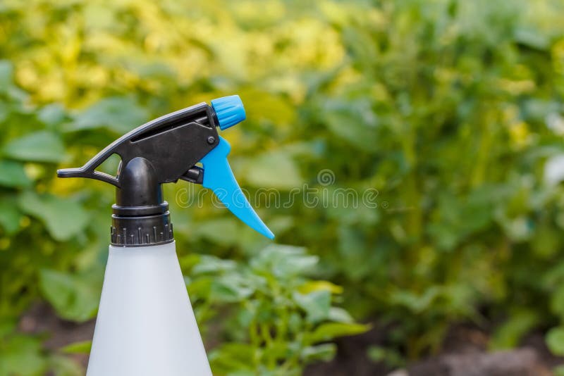 900 Potato Spray Stock Photos - Free & Royalty-Free Stock Photos from ...