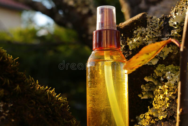 The Spray Bottle Reflects the Sun`s Rays. Stock Image - Image of care ...