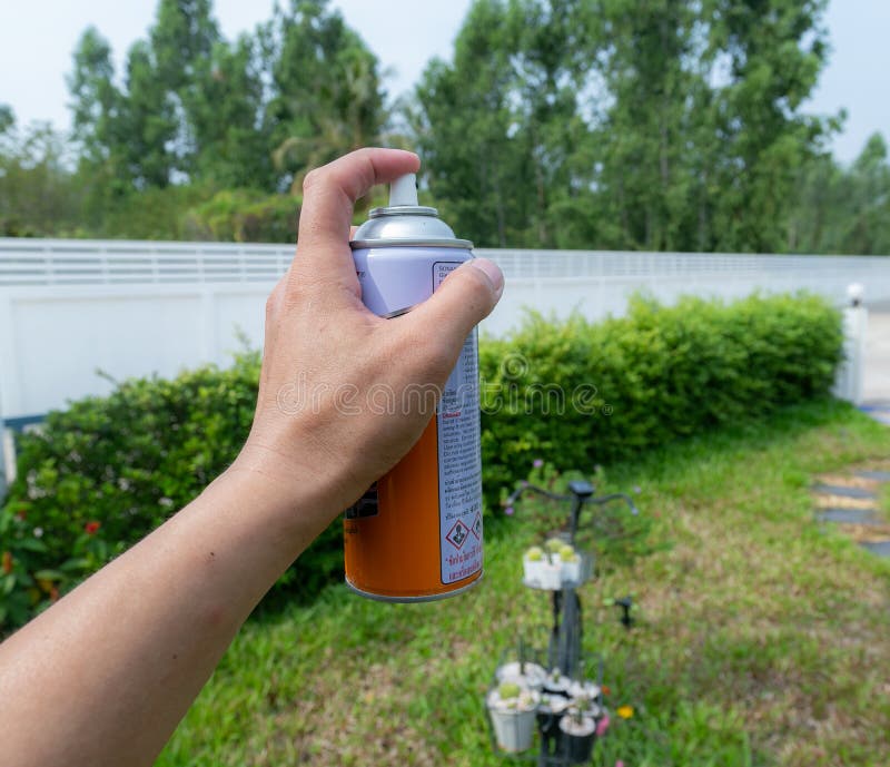 Spray Insecticides To Prevent Leafy Fungus Stock Image - Image of crop ...