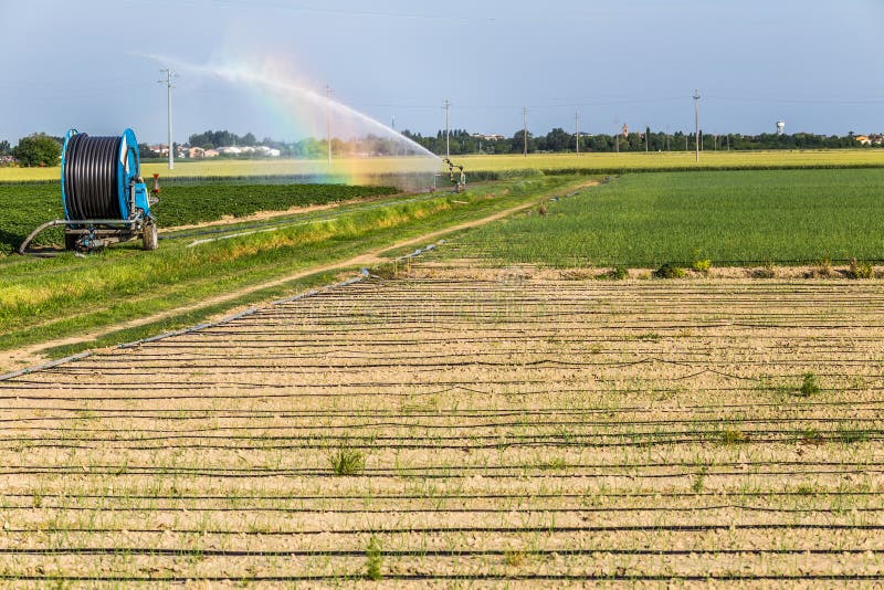 Spray Irrigation of Planted Fields in Homestead, Florida. Stock Photo ...