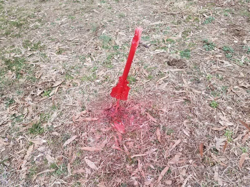 Spray Painted Red Model Rocket on Grass or Lawn Stock Photo - Image of ...