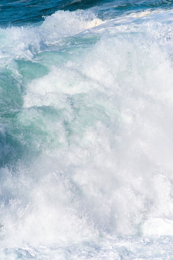 Spray of sea water stock image. Image of kelp, nature - 25483305