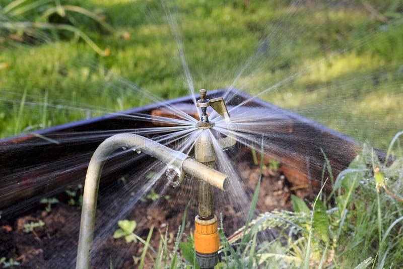 Spray of Water in the Garden Stock Image - Image of irrigation ...