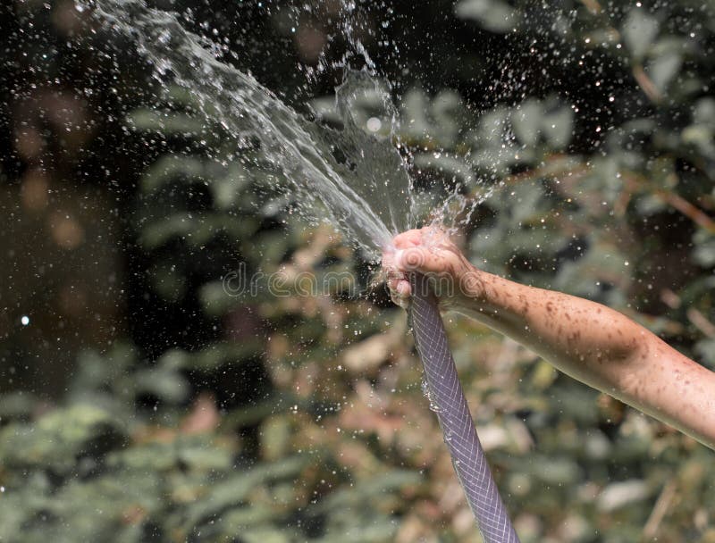 Spray Water from a Hose Child`s Hand Stock Photo - Image of lawn, clean ...