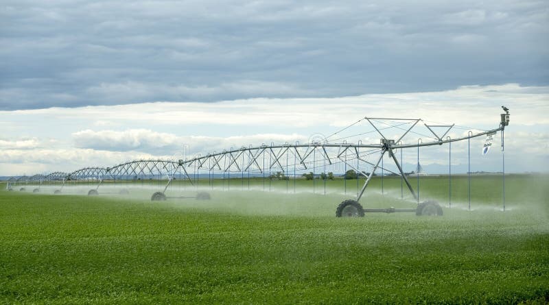 A Spray Water Irrigation System at an Agriculture Facility Farm in ...