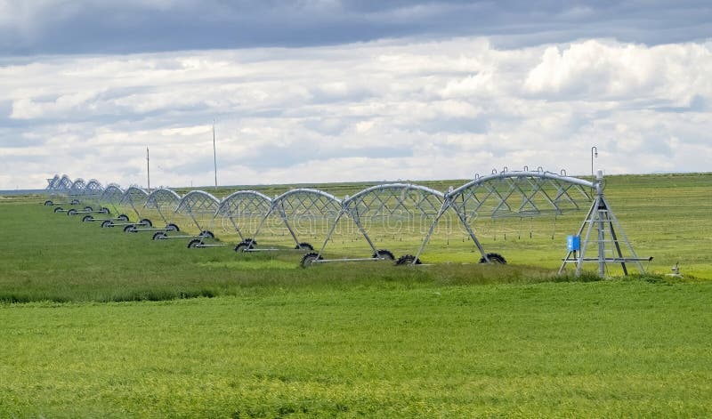 A Spray Water Irrigation System at an Agriculture Facility Farm Stock ...