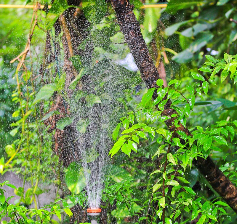 Sprayed Water from Sprinkler Stock Image - Image of irrigation ...