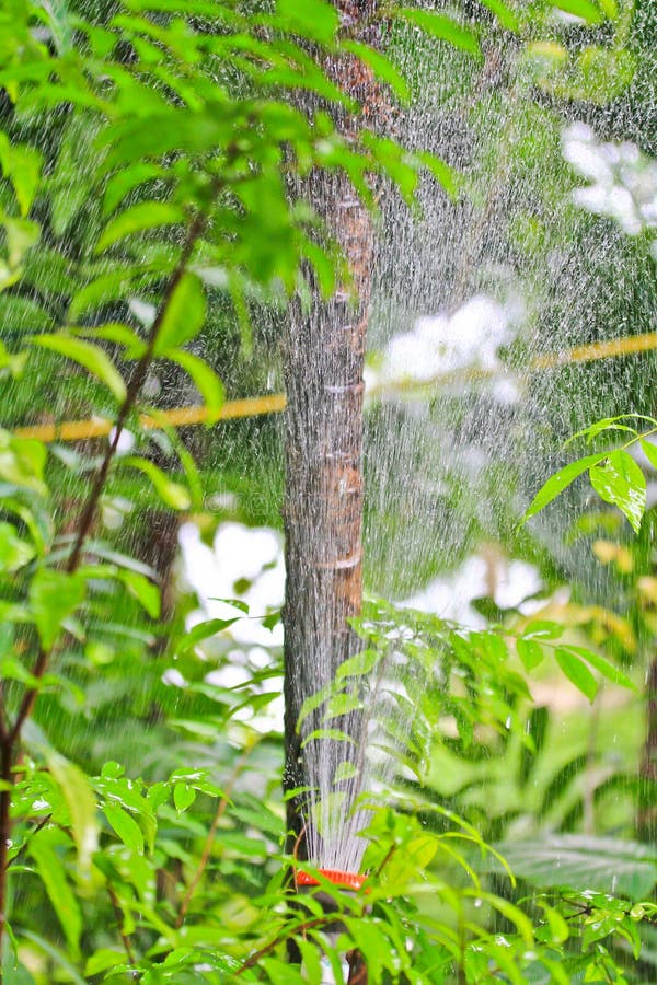 Sprayed Water from Sprinkler Stock Photo - Image of equipment, shower ...