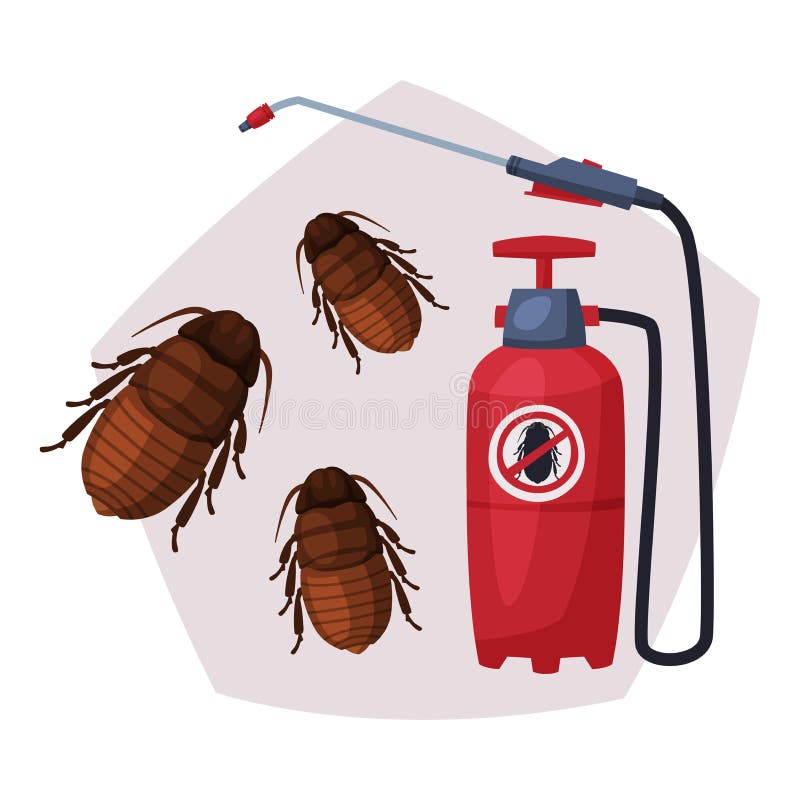 Sprayer of Black Cockroach Insecticide, Pest Control Service, Detecting ...