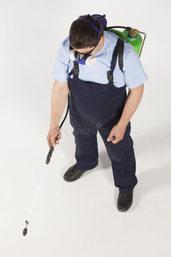 Worker Spraying Pesticide on Wall at Home Stock Photo - Image of ...