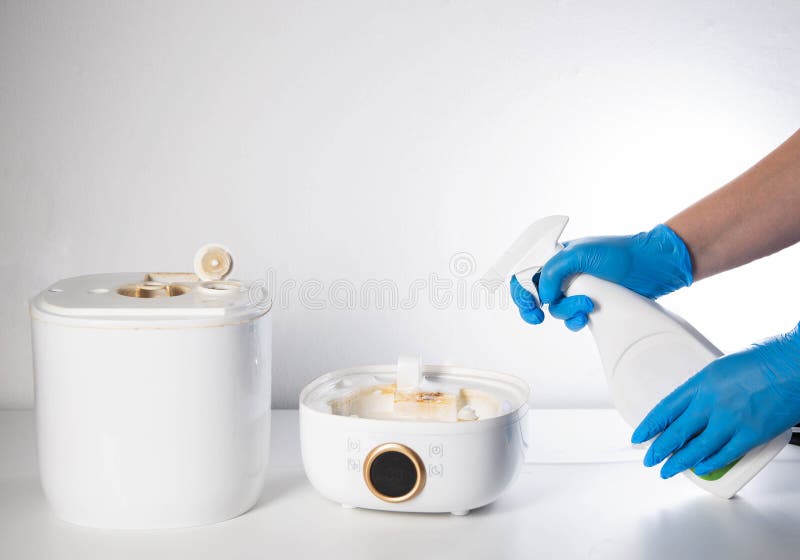 Spraying a Chemical Rust and Scale Remover into a Humidifier. Home ...