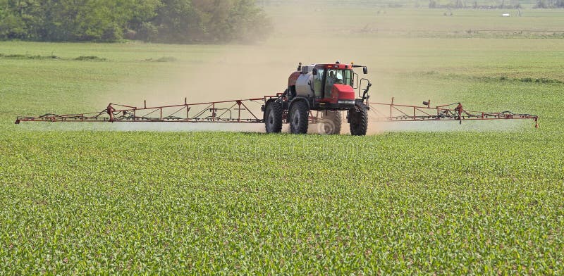 Spraying a Corn Field stock photo. Image of farmland - 42165514