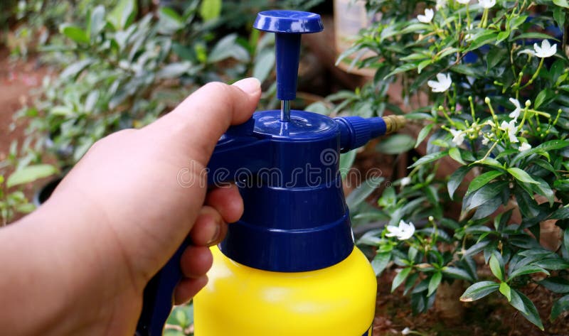 Spraying Fertilizer on Plants Stock Image - Image of fertilizer ...