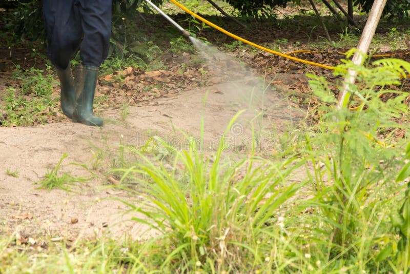 Spraying herbicide stock photo. Image of manual, herbicide - 114106528