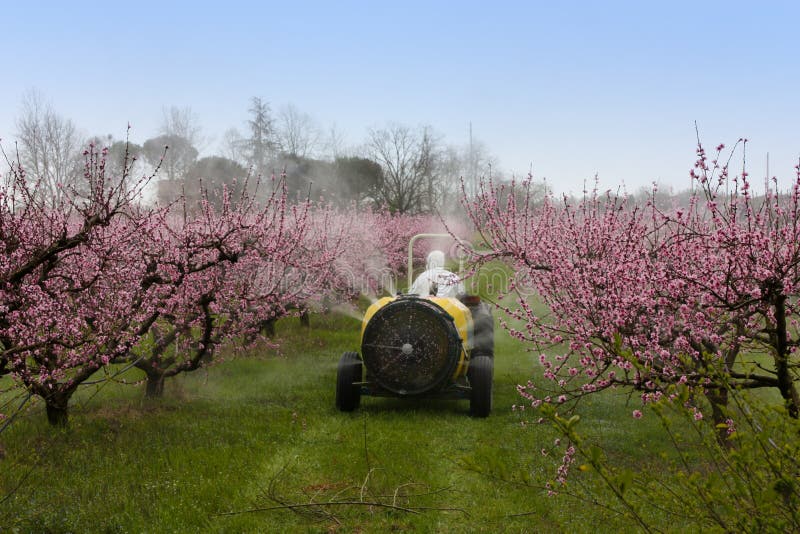 Spraying trees orchard stock image. Image of farming - 14218993
