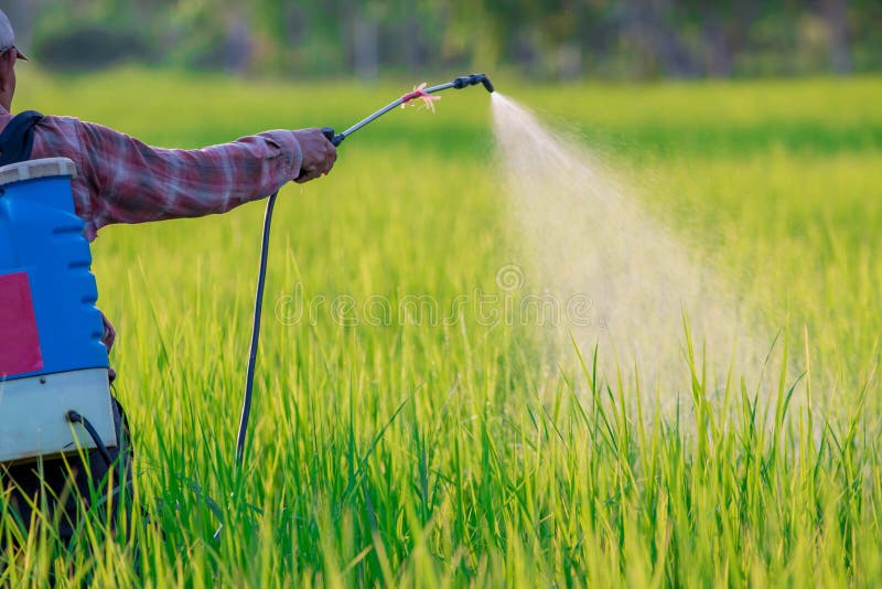 Spraying pesticide stock photo. Image of chemical, pollution - 59525962