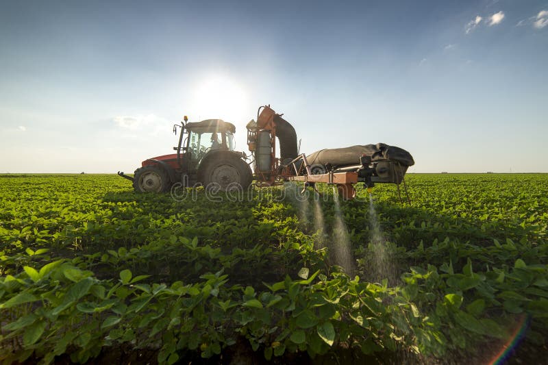 Spraying Pesticides at Soy Bean Fields Stock Image - Image of farming ...