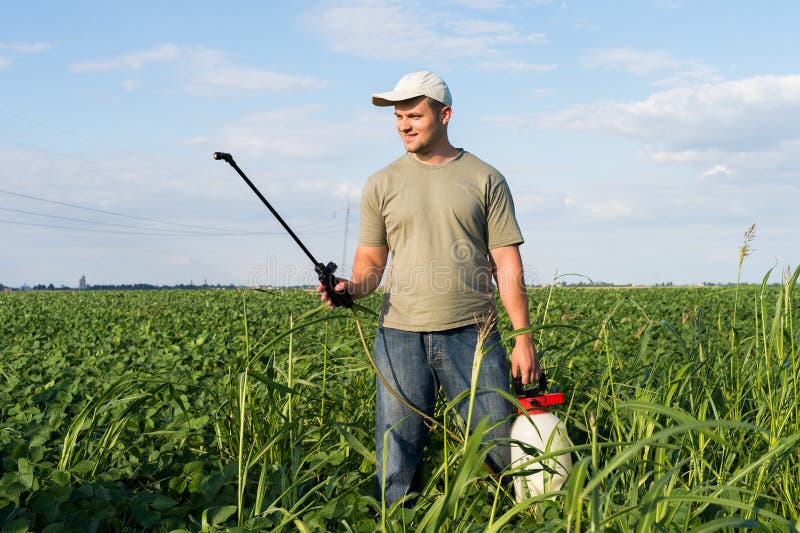 Spraying soybean field stock image. Image of land, farmer - 57352015