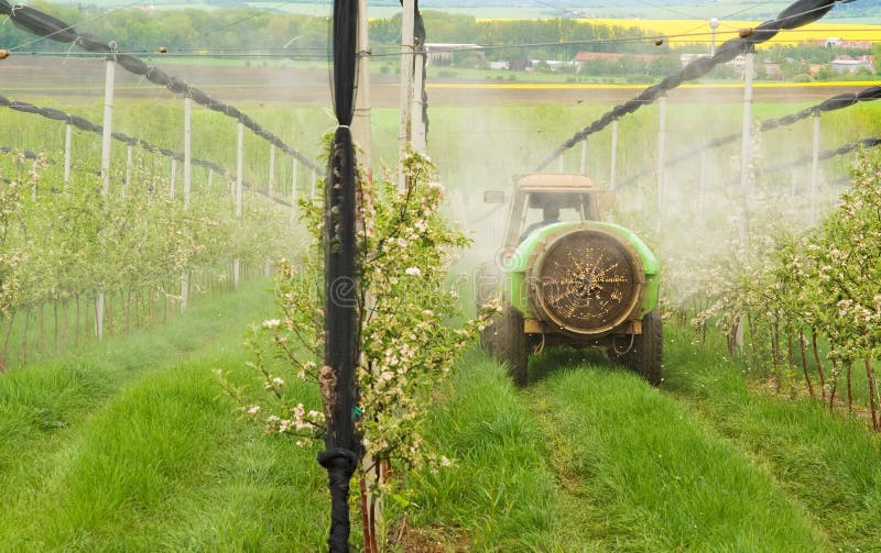 Spraying trees orchard stock image. Image of farming - 14218993